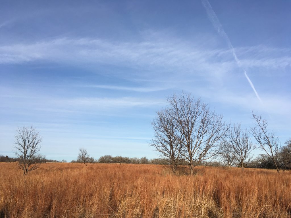 Grasslands Can Help Fight Climate Change —Jeffrey Conti – Ucross High ...