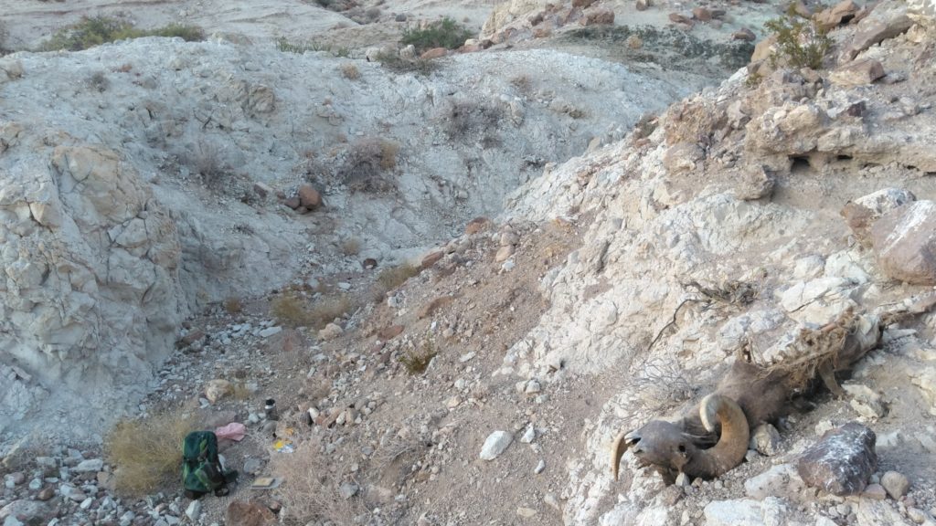 A Week in the Desert — Danielle Glass – Ucross High Plains Stewardship ...