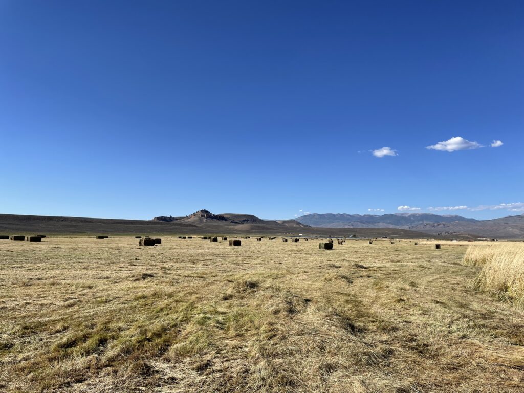 Improving Restoration Funding for Working Lands in Colorado – Ucross ...