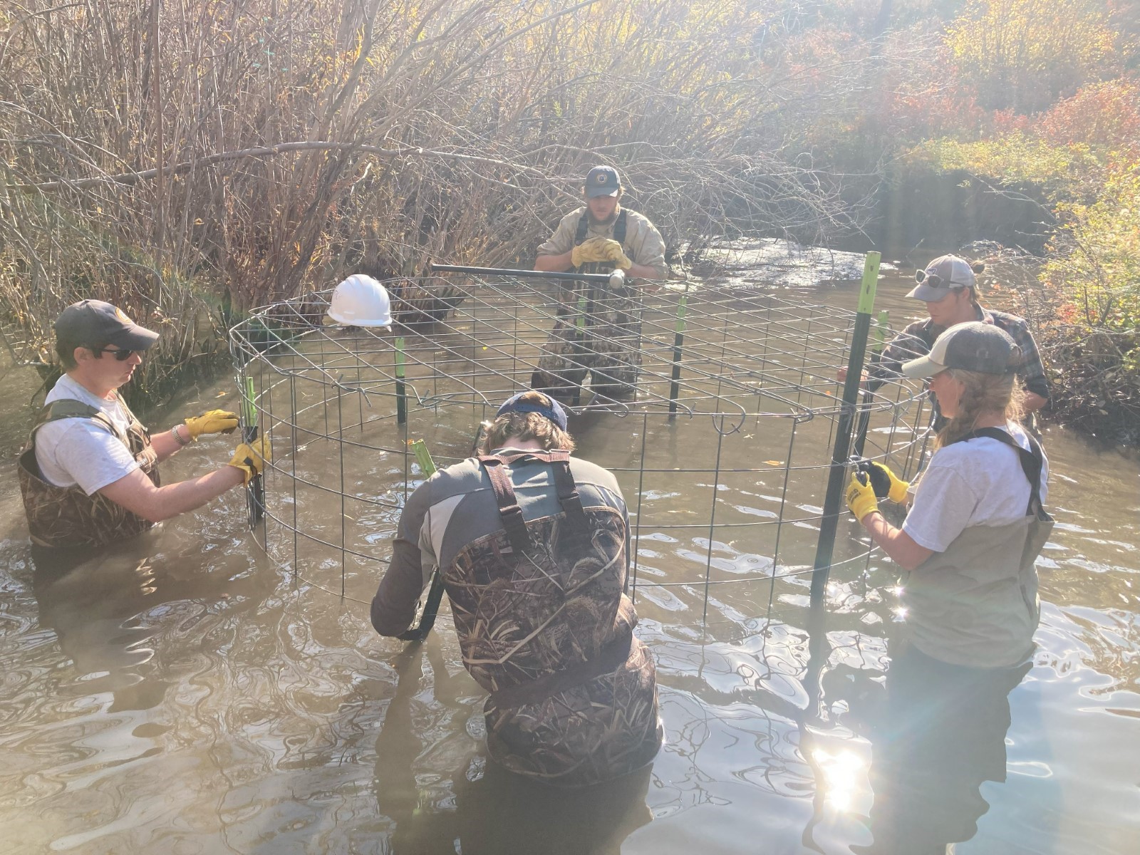 Building Bridges: Mapping Beaver Conflicts and Solutions in Montana ...